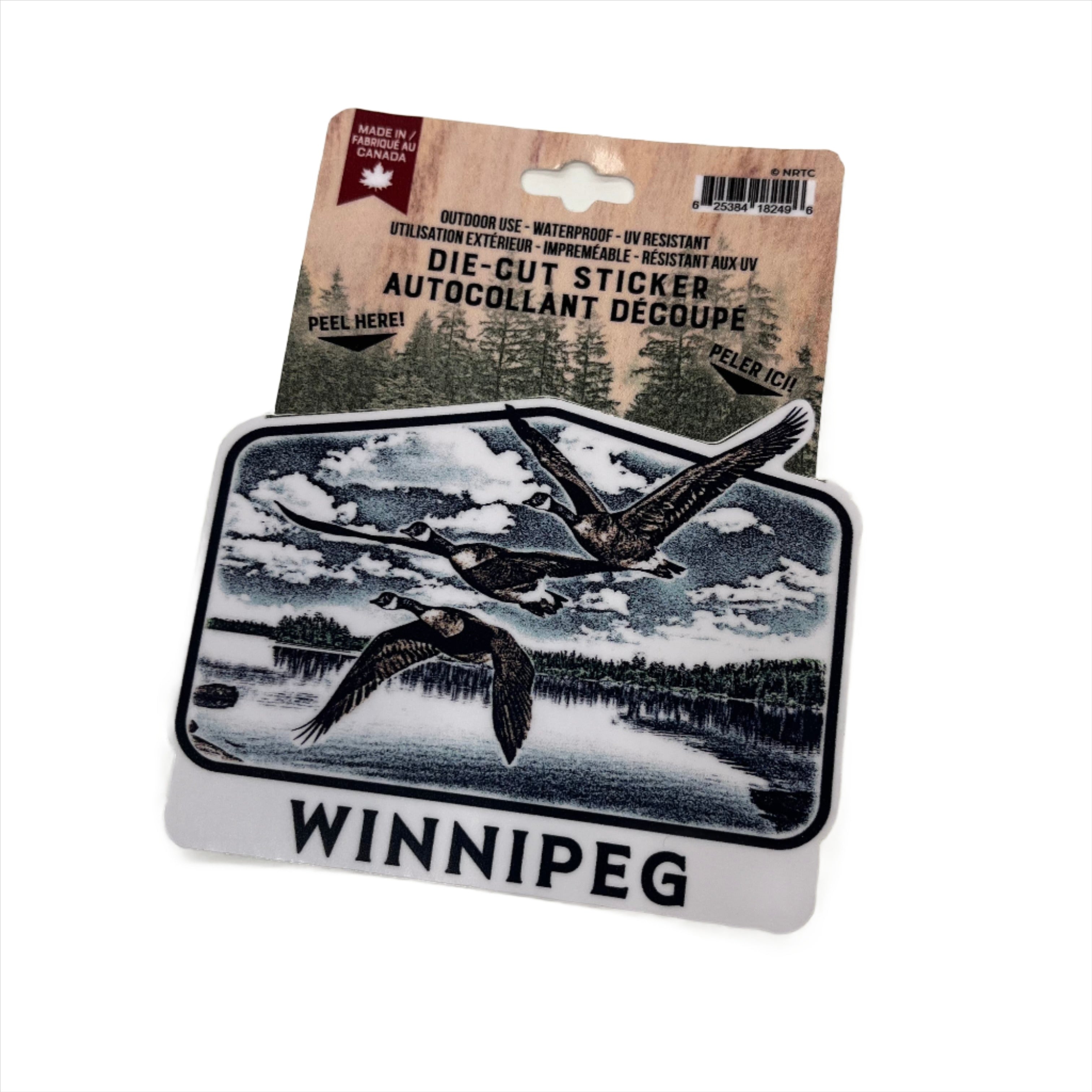 WINNIPEG GEESE STICKER – Oh Canada WPG