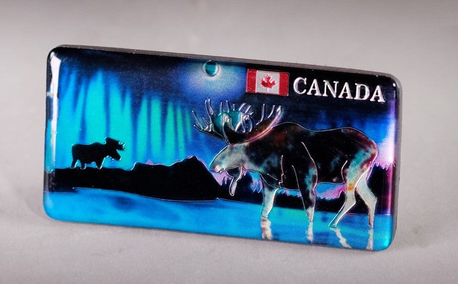 NORTHERN LIGHTS MAGNET – Oh Canada WPG